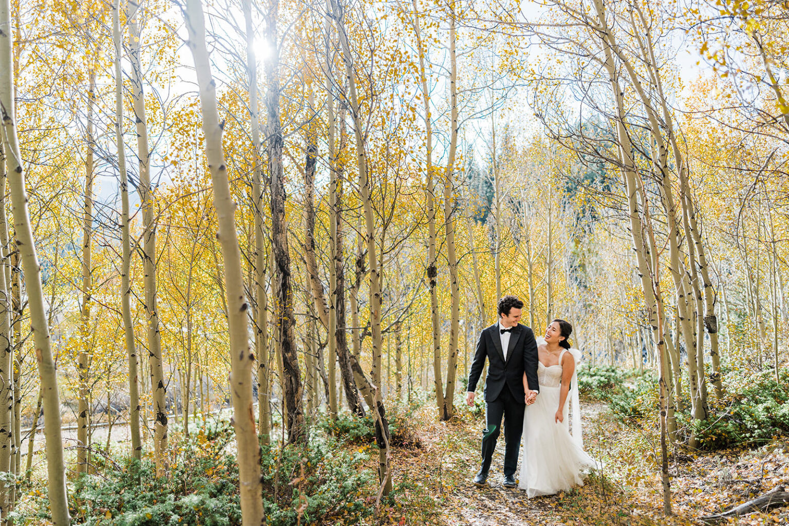 Boreas Pass Elopement Guide