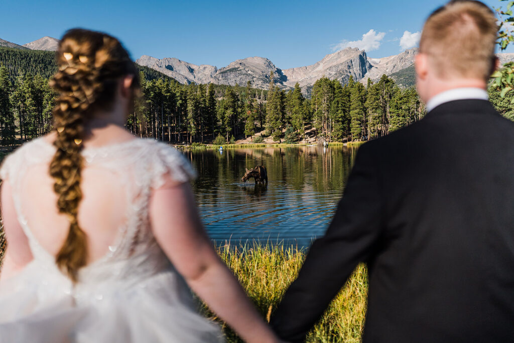 Sprague Lake Wedding & Elopement Guide