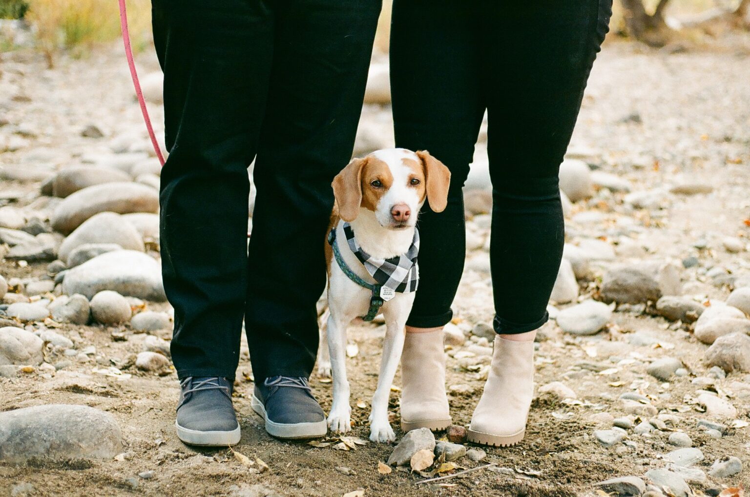 Gateway Natural Area Couples Session on Film | Rebeccah & Christoph ...
